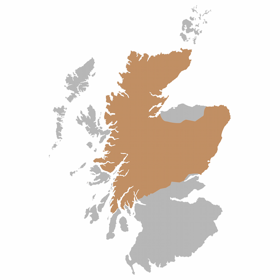 Dalmore 12 Years Old Whisky | Just Whisky Auction